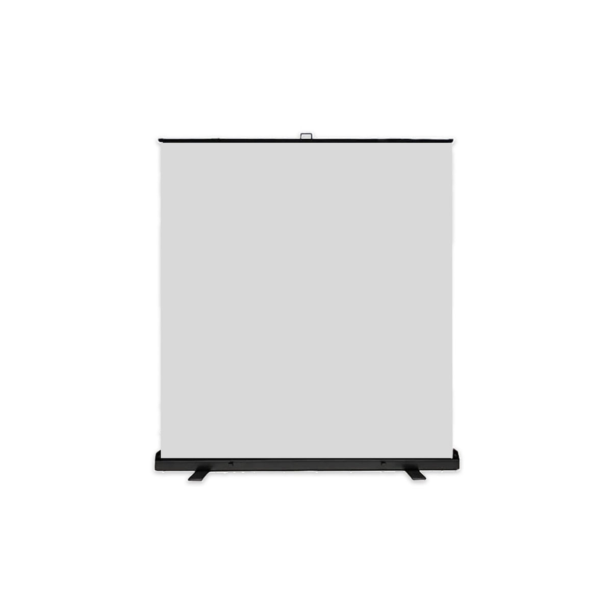NORSEN Alpha Portable Pull Up Projector Screen with Stand 80/100 Inch